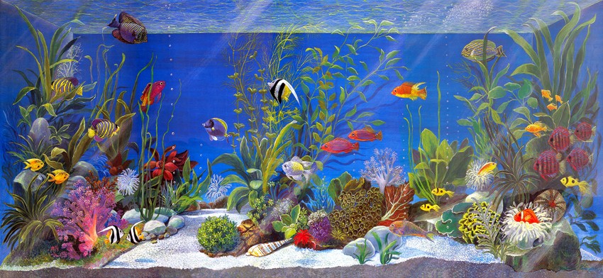acuario peces tropicales 3D pecera decorativa fantasia pintada acua...